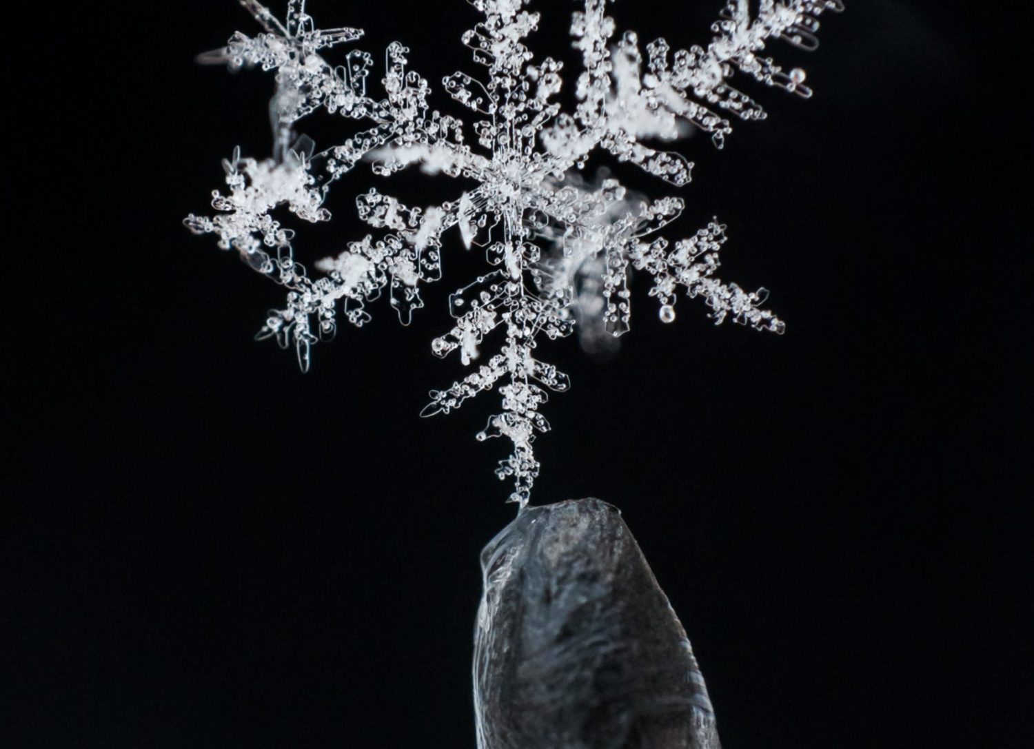 The Snowflake Method. Step 2: A Story in a Paragraph - PLUMA - PAPEL